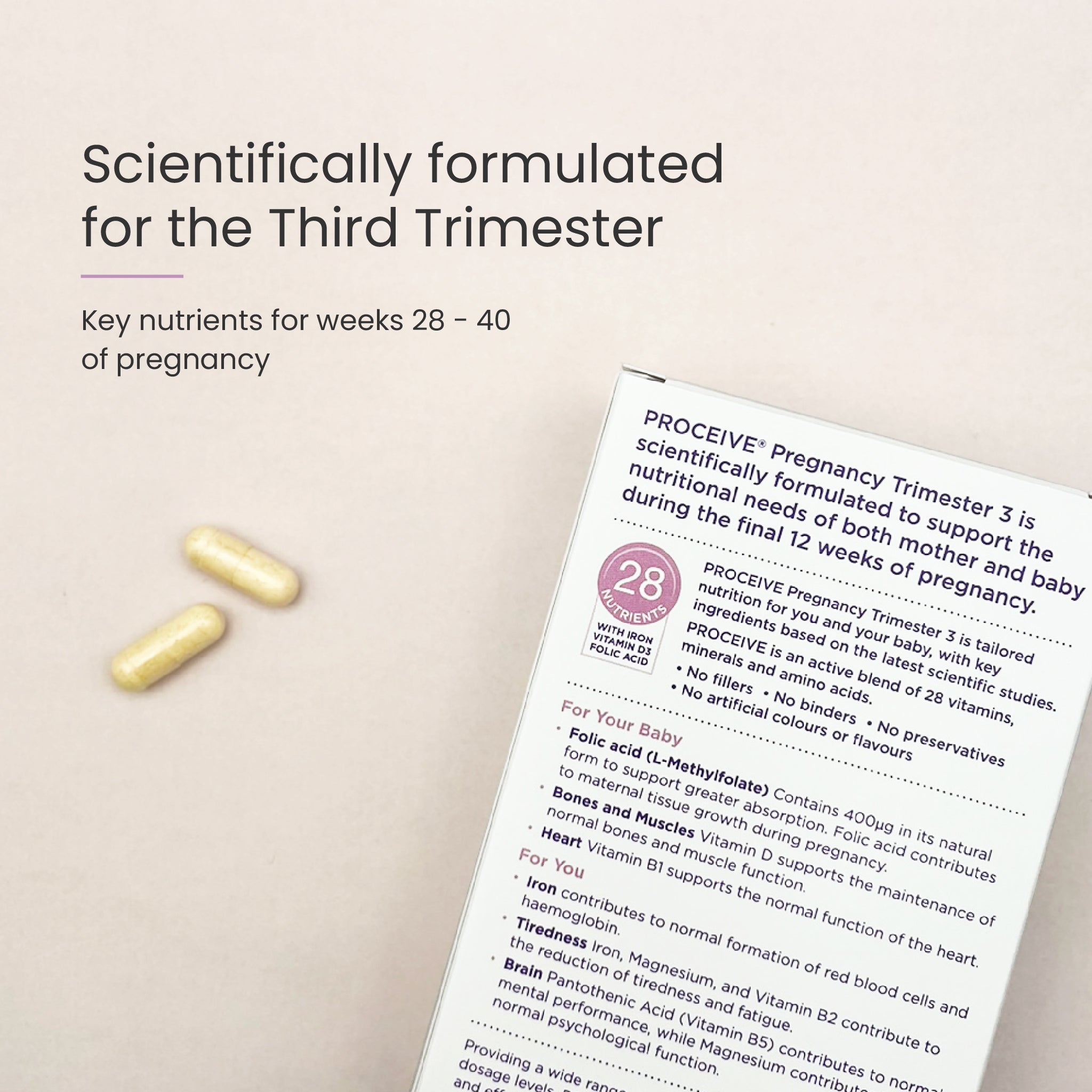 Pregnancy Trimester 3 – Proceive