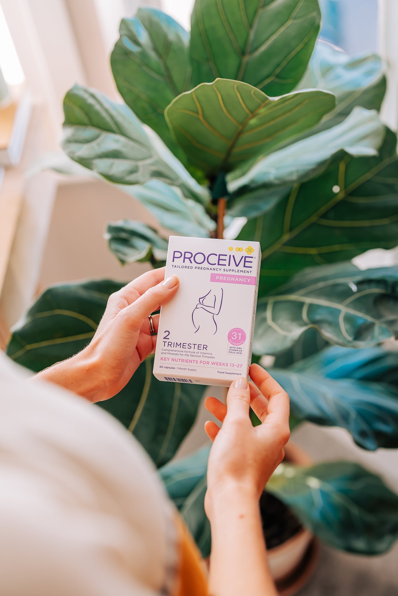 Pregnancy Trimester 2 – Proceive