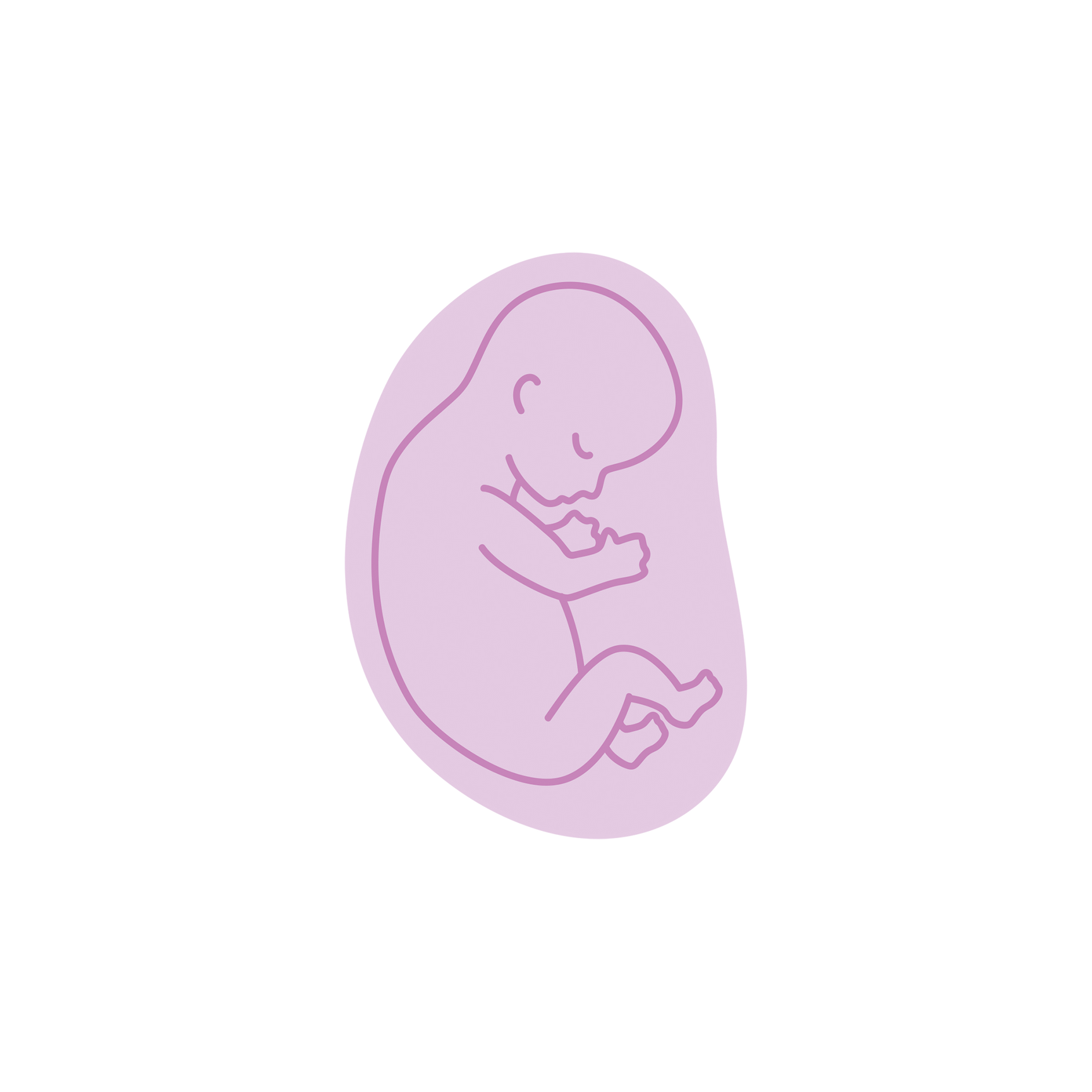 Proceive® Pregnancy Trimester 2