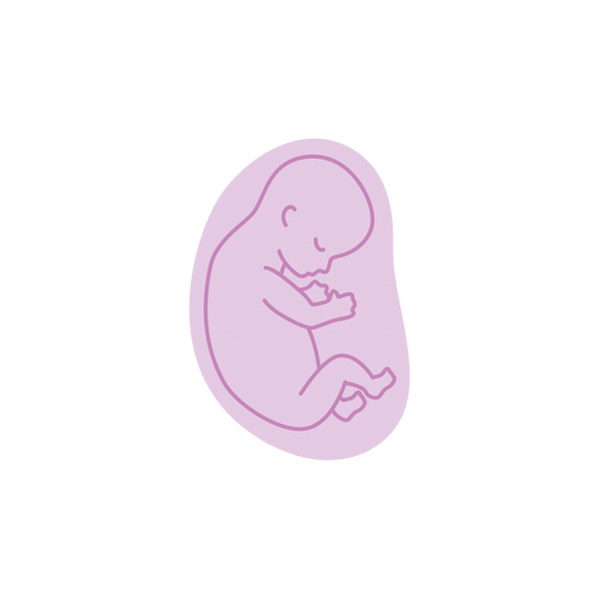 Proceive® Pregnancy Trimester 2